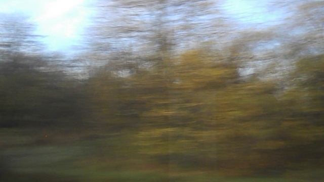 DSCN8413 Осенний Архыз,канатка,ферма Альпаки ноябрь 2025