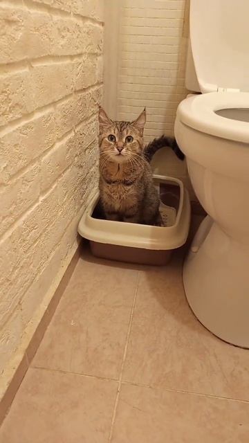 Квадробер интервью