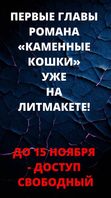 Каменные кошки 14 #Каменныекошки