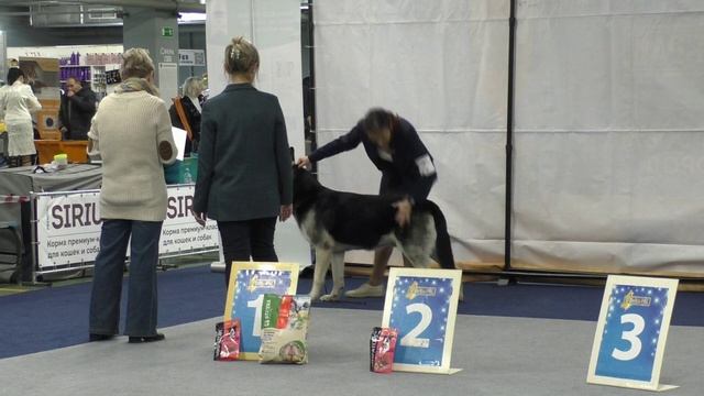 Моншер Вирсаль Гималай