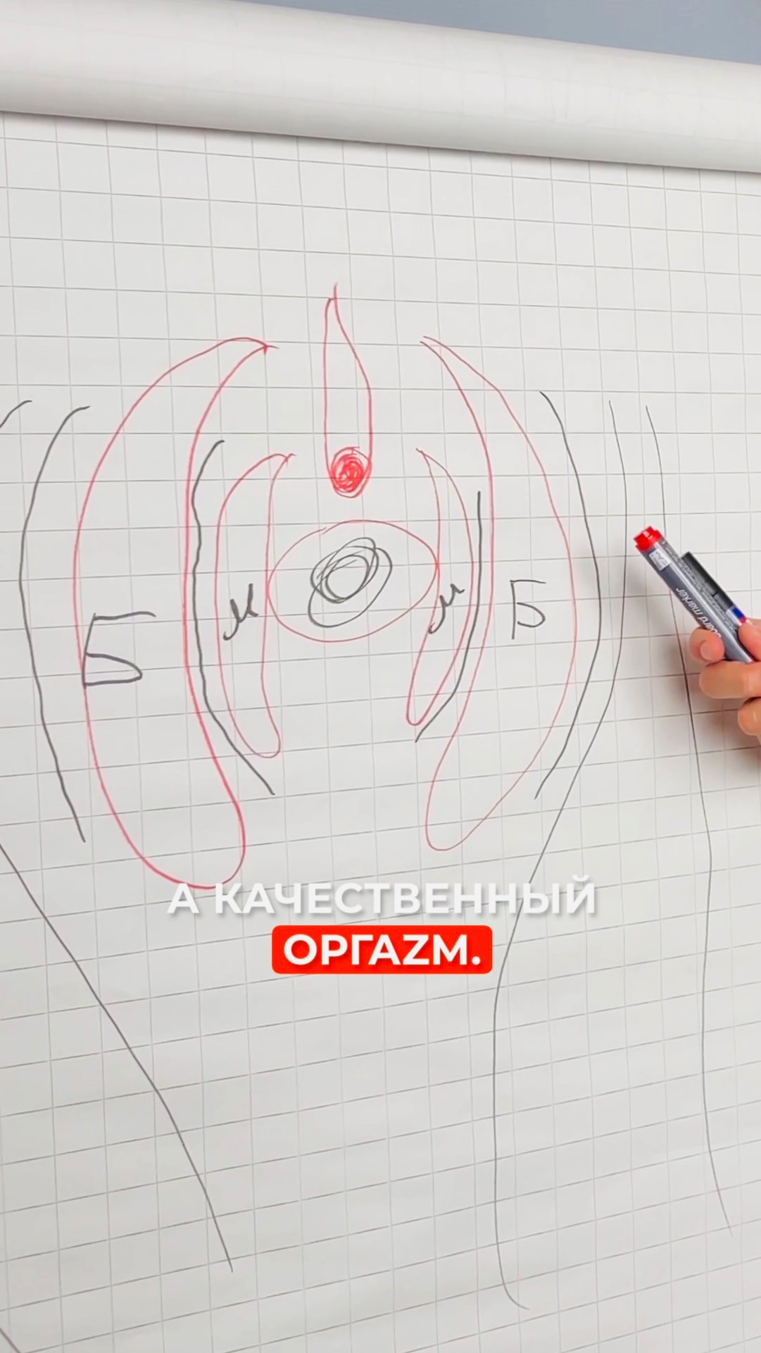 Сквирт и вагинальный оргазм - научный подход