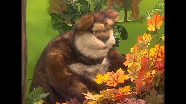 Победи лень | Лесные истории (0+)