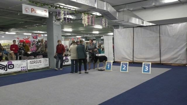 Сравнение на ЛК