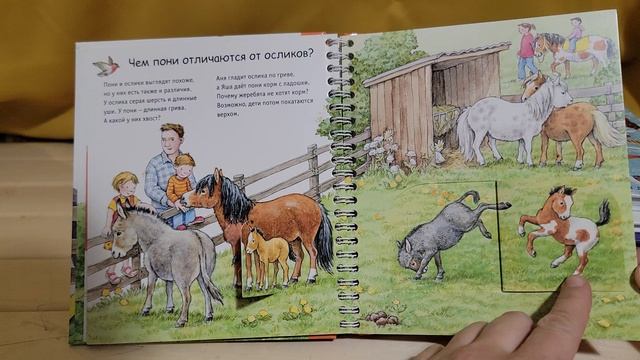 Детский зоопарк. Книжка с окошками.