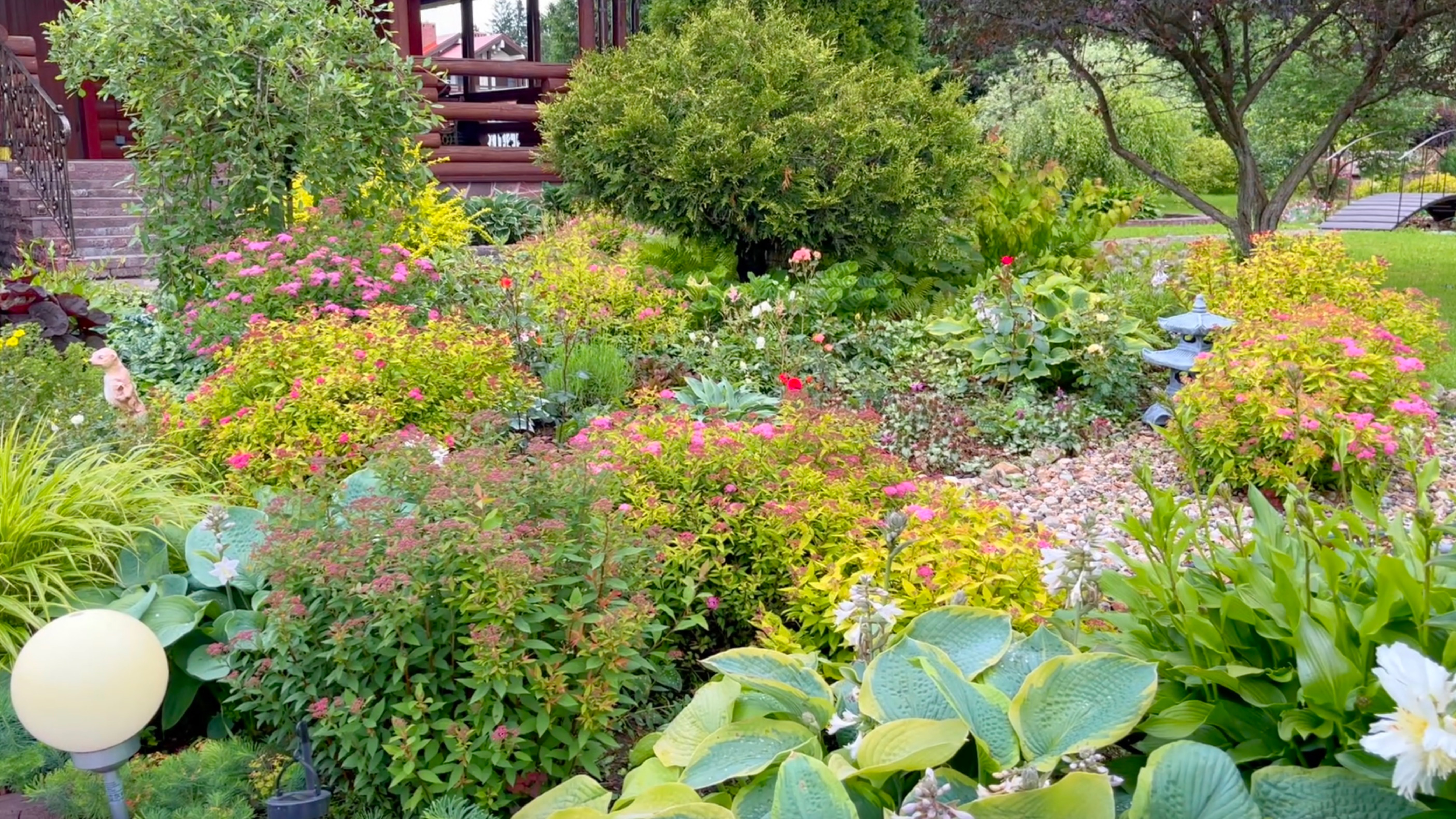 Благодаря и вопреки. Гвоздика / Астильба / Купена / Дармера / Хосты. На солнце и в тени.