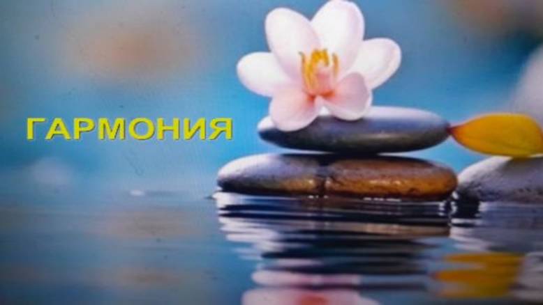 Ирина Одарчук Паули Гармония 2025