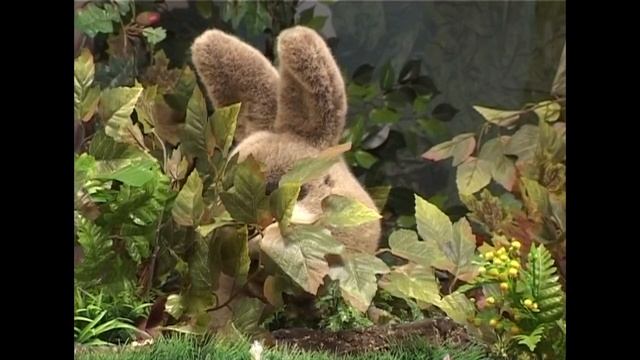 Ты нужен | Лесные истории (0+)