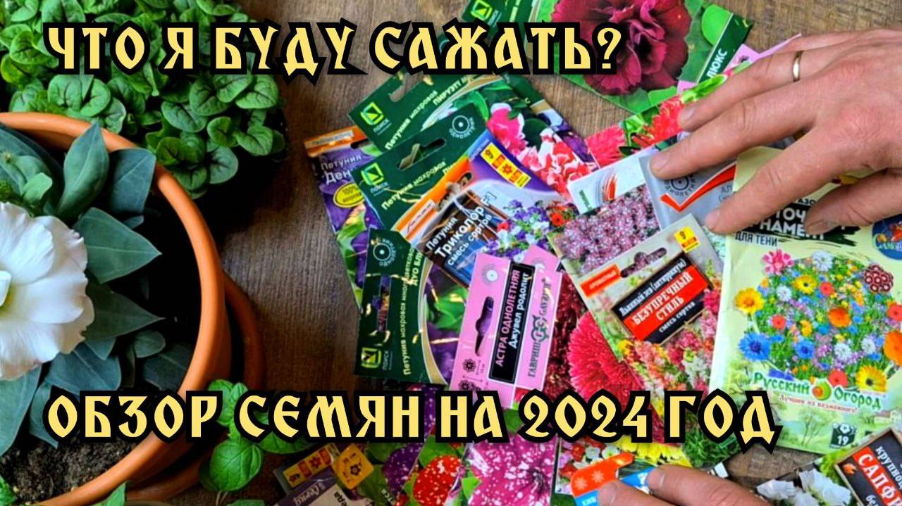 Обзор семян на 2024 год. Какие семена я посажу.