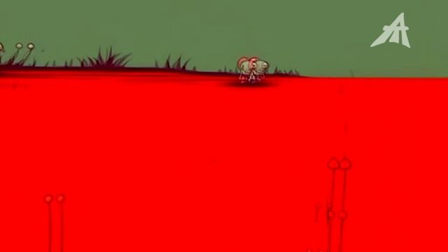 Появление людей на Земле