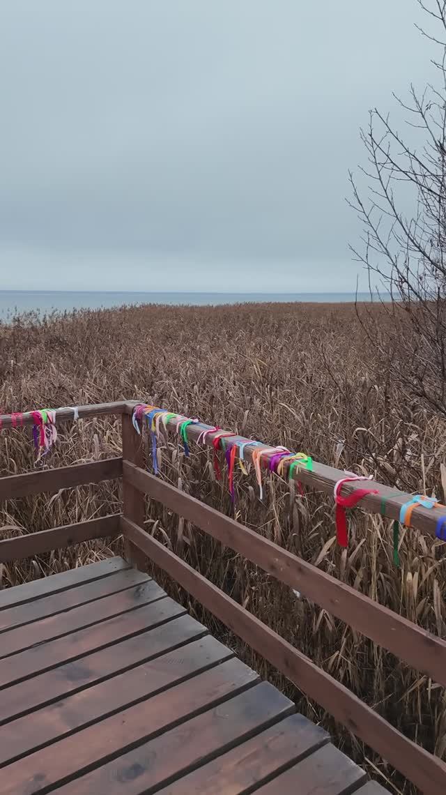 Плеще́ево о́зеро — пресноводное озеро на юго-западе Ярославской области России. 09.11.2025