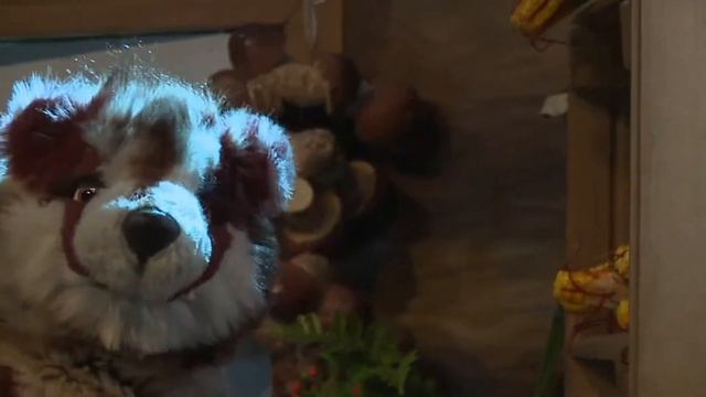 Филькины запасы | Лесные истории (6+)