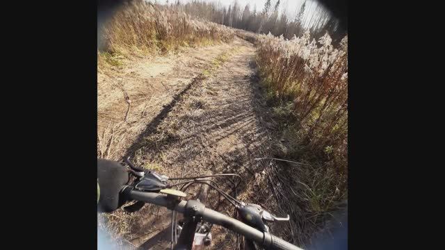 Речка Пазелинка снова не далась. Вернулся через Снежинку. 22.10.2025