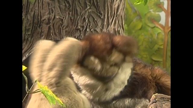 Выход всегда есть (2 часть) | Лесные истории (0+)