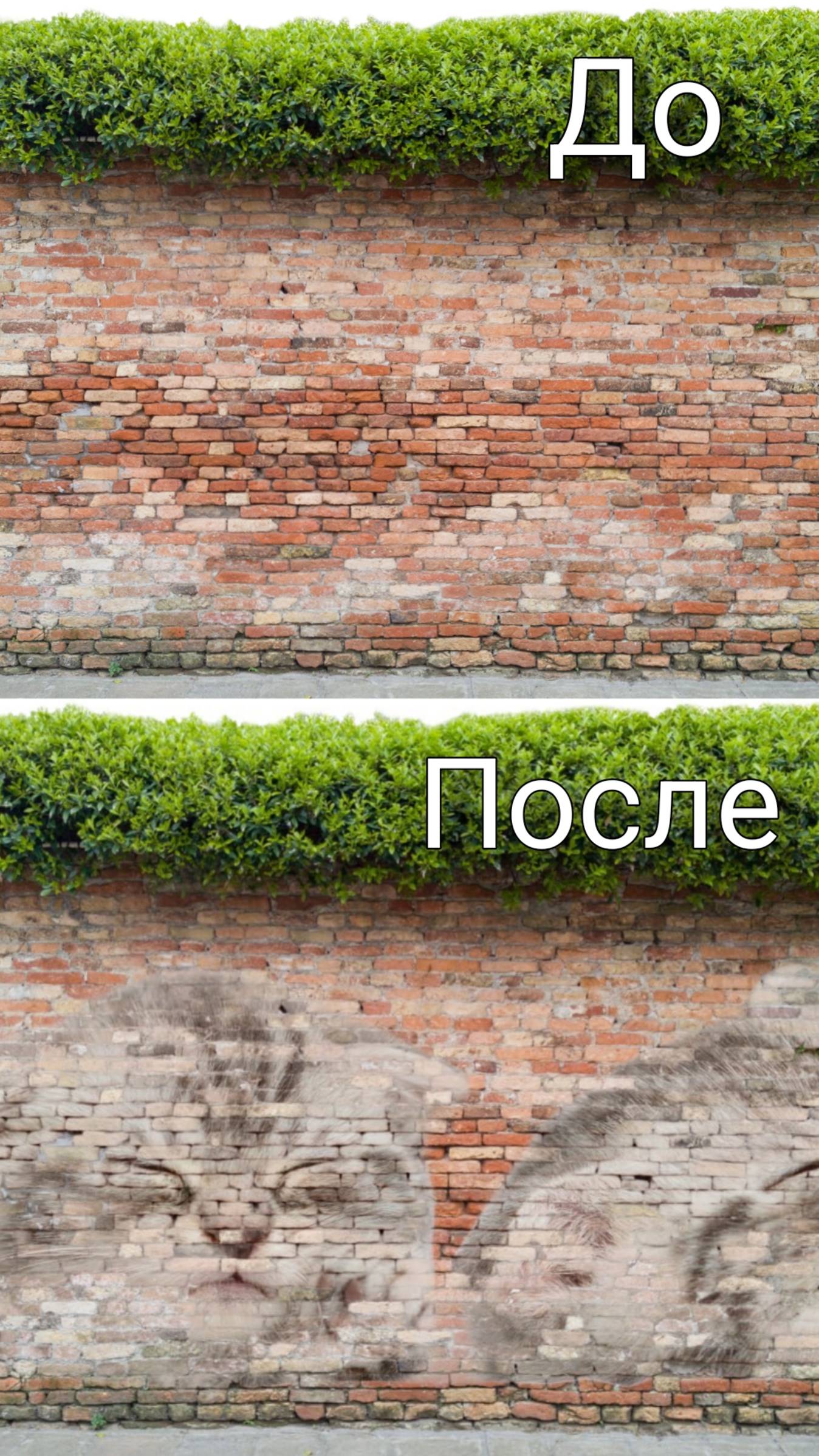 Эффект «Встраивание» в AliveColors