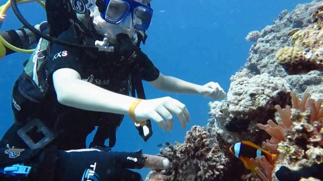 подводное царство