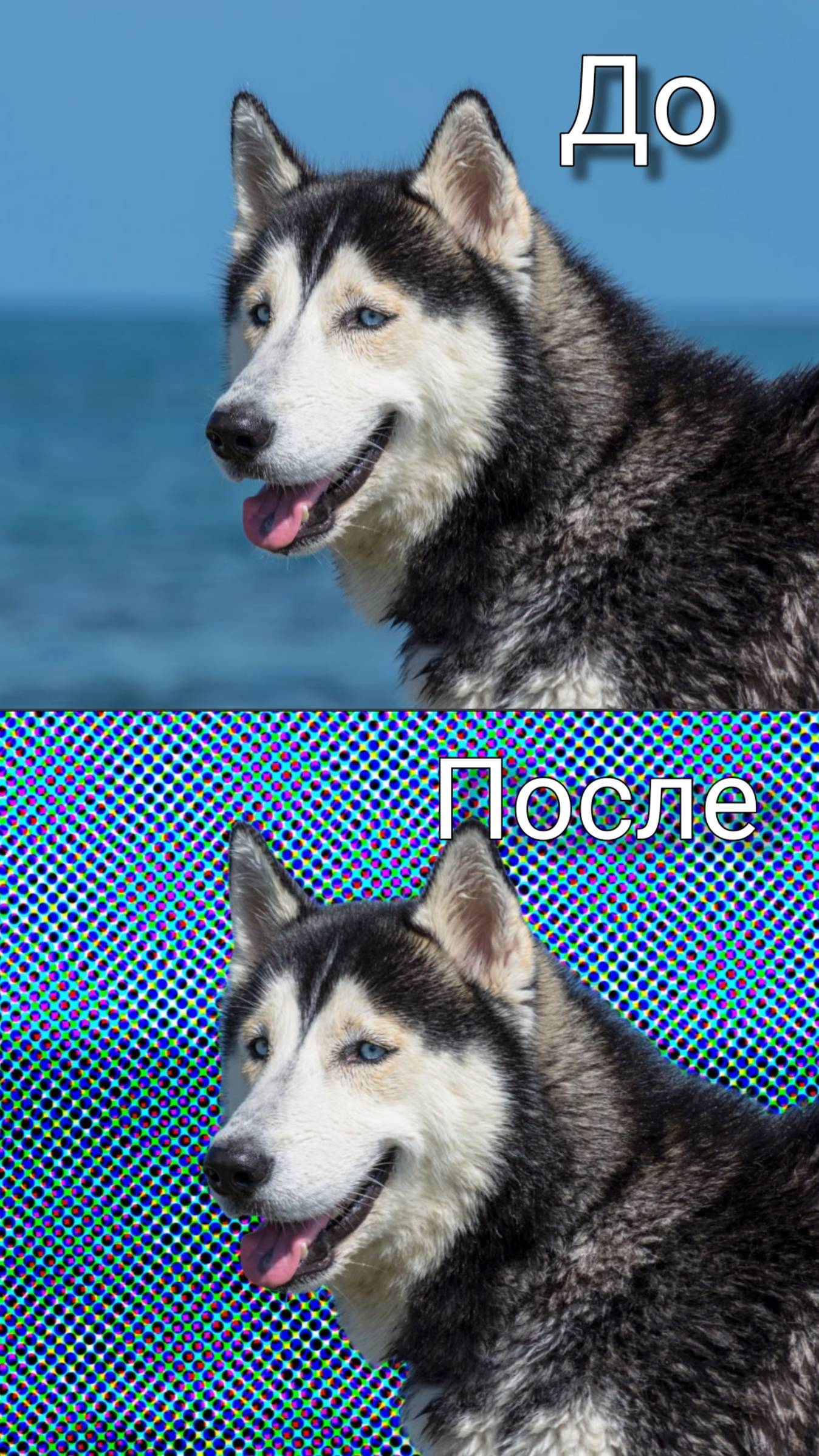 «Цветные полутона» в AliveColors