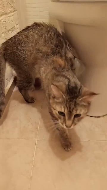 Ну нет там золота