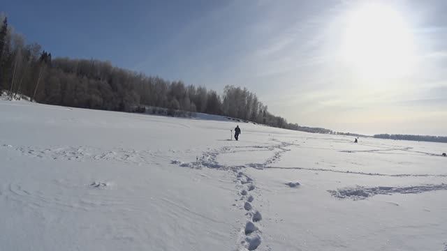 Коромысло переигрывает безмотылку, с хищником всё сложно. Рузское водохранилище