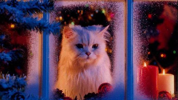 Милая Розочка -Детка !!! Ник. Жуков Мила Кичигина Ангел - Online Муз. гр.⭐⭐⭐⭐⭐