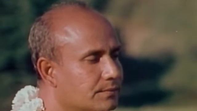 Медитация на природе. День из жизни Шри Чинмоя.