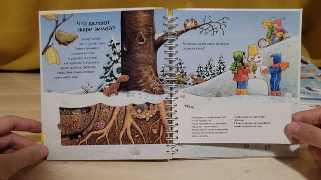 Времена года. Книжка с окошками