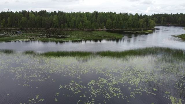 ТРЕК-ЛЮДИ ЗАПЛАТКИ(Zlatentsia) из фильма КАРЕЛИЯ. Река ОНДА. 2025 год. Конец июля - начало августа.