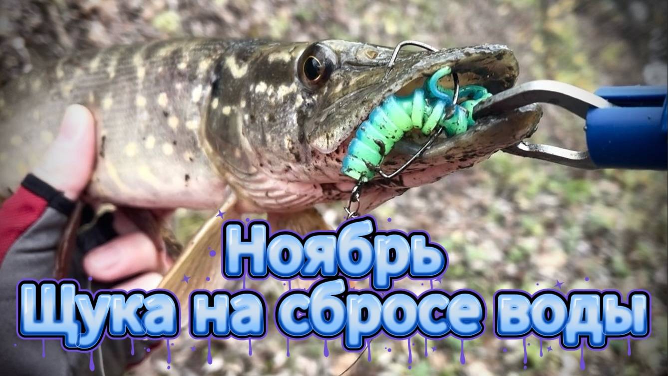 Ловля щуки на малых реках осенью. Рыбалка на безлюдном берегу