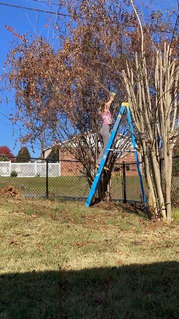 🌳 Trimming My Myrtle Tree… and Rescuing a Cat! 🐱⚡