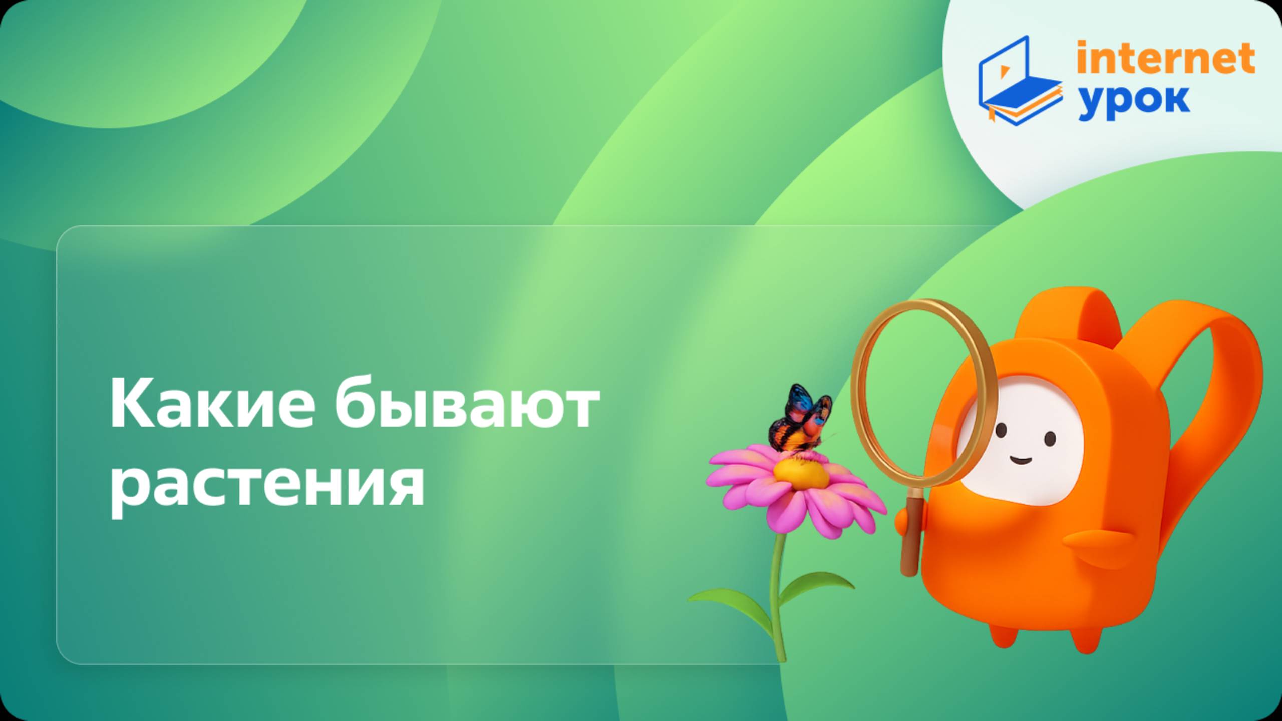 Окружающий мир 2 класс. Какие бывают растения