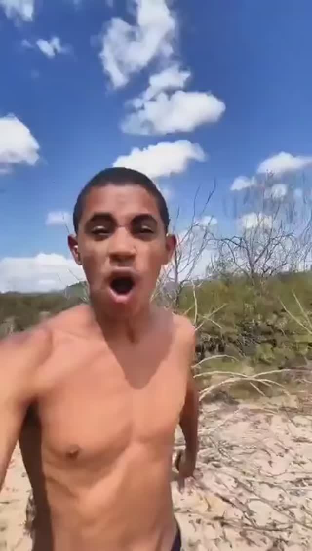 Когда ОЧЕНЬ захотел медку.... но пчелы были против!!!! Где-то в Бразилии.