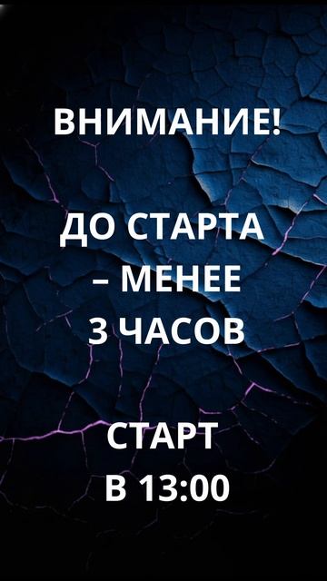 Каменные кошки 13 #Каменные кошки