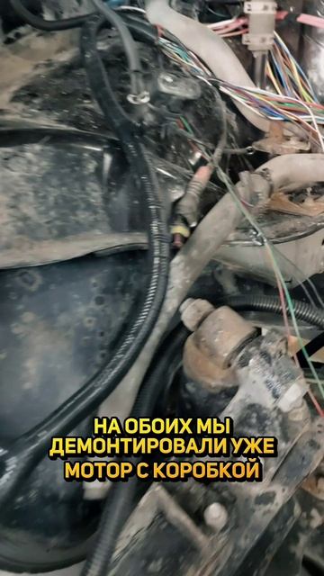 Если вы владелец Газона Некст -- ждем вас в гости #гбо#газоннекст#заменамотора#метан#грузоперевозки