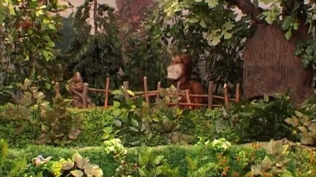 Кустик гороха | Лесные истории (0+)