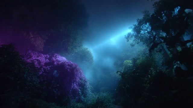 Hearts wrapped in winter..