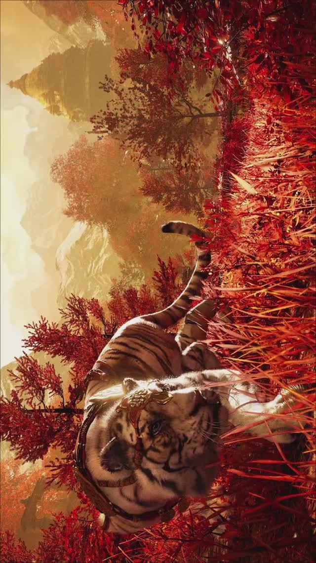 Cliff Martinez - Amita's Suite