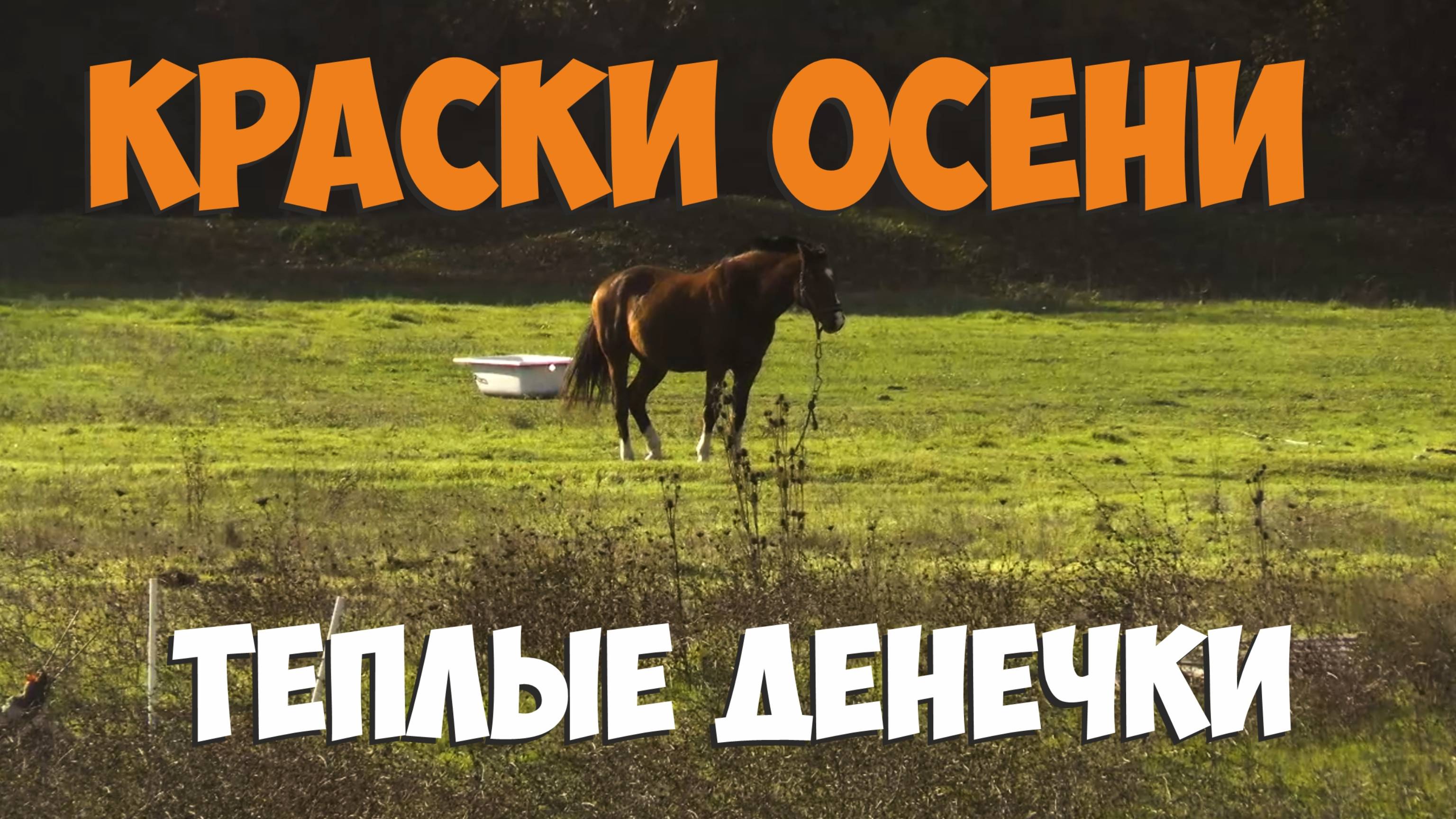 Краски осени, тёплые денёчки