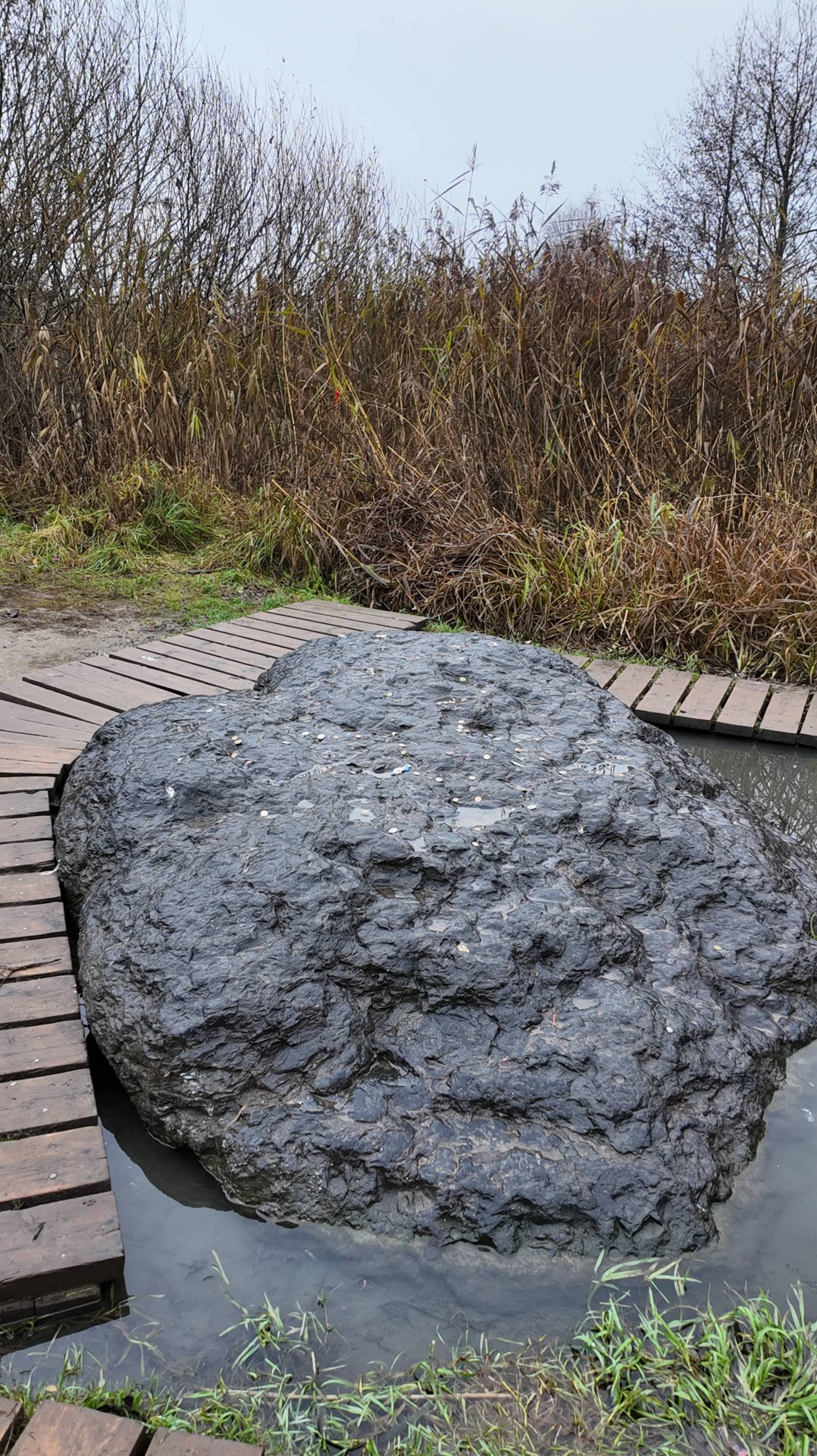 Си́ний ка́мень (Синь-ка́мень) — священный камень близ Плещеева озера 09.11.2025