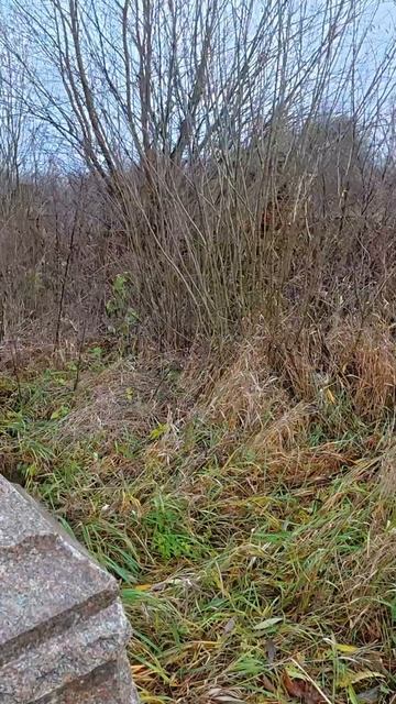 Надгробие жены священника