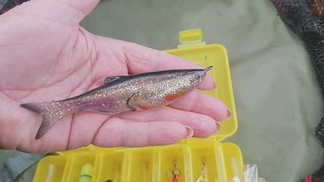 Наша ПЕРВАЯ РЫБАЛКА  на ЩУКУ! Собака сразила нас НАПОВАЛ!!