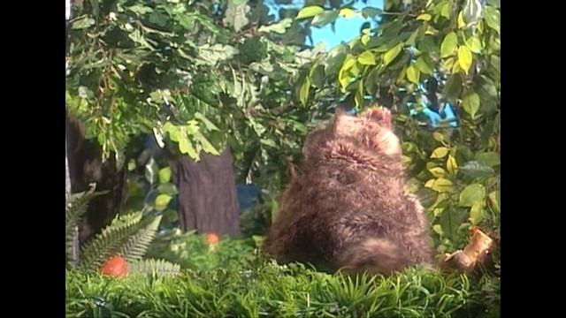 Друг Фильки | Лесные истории (0+)