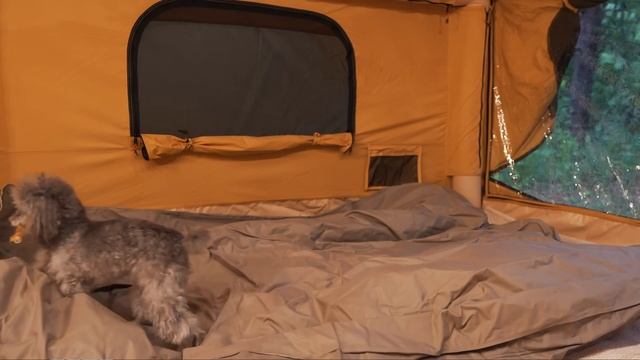 Kirin Camp КЕМПИНГ ПОД СИЛЬНЫМ ДОЖДЕМ С РОСКОШНОЙ ВОЗДУШНОЙ ПАЛАТКОЙㅣЗВУКИ ПРИРОДЫ