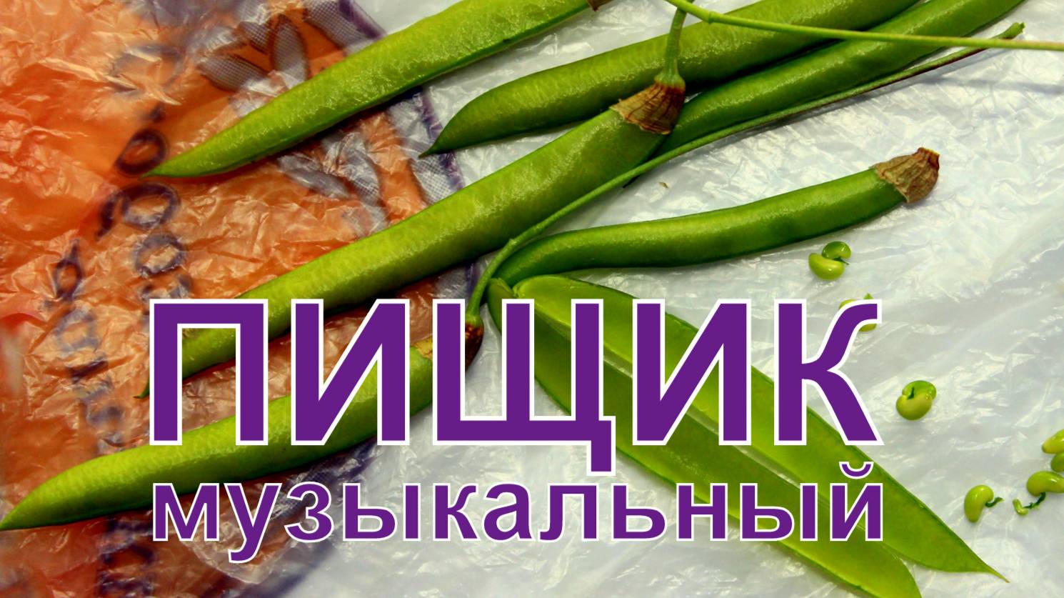 Пищалка - музыкальный инструмент