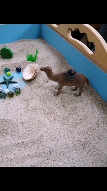 Обучающий курс по практической арт-терапии (песочной терапии). Май 2025. г.Минск