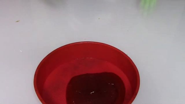 Десерт