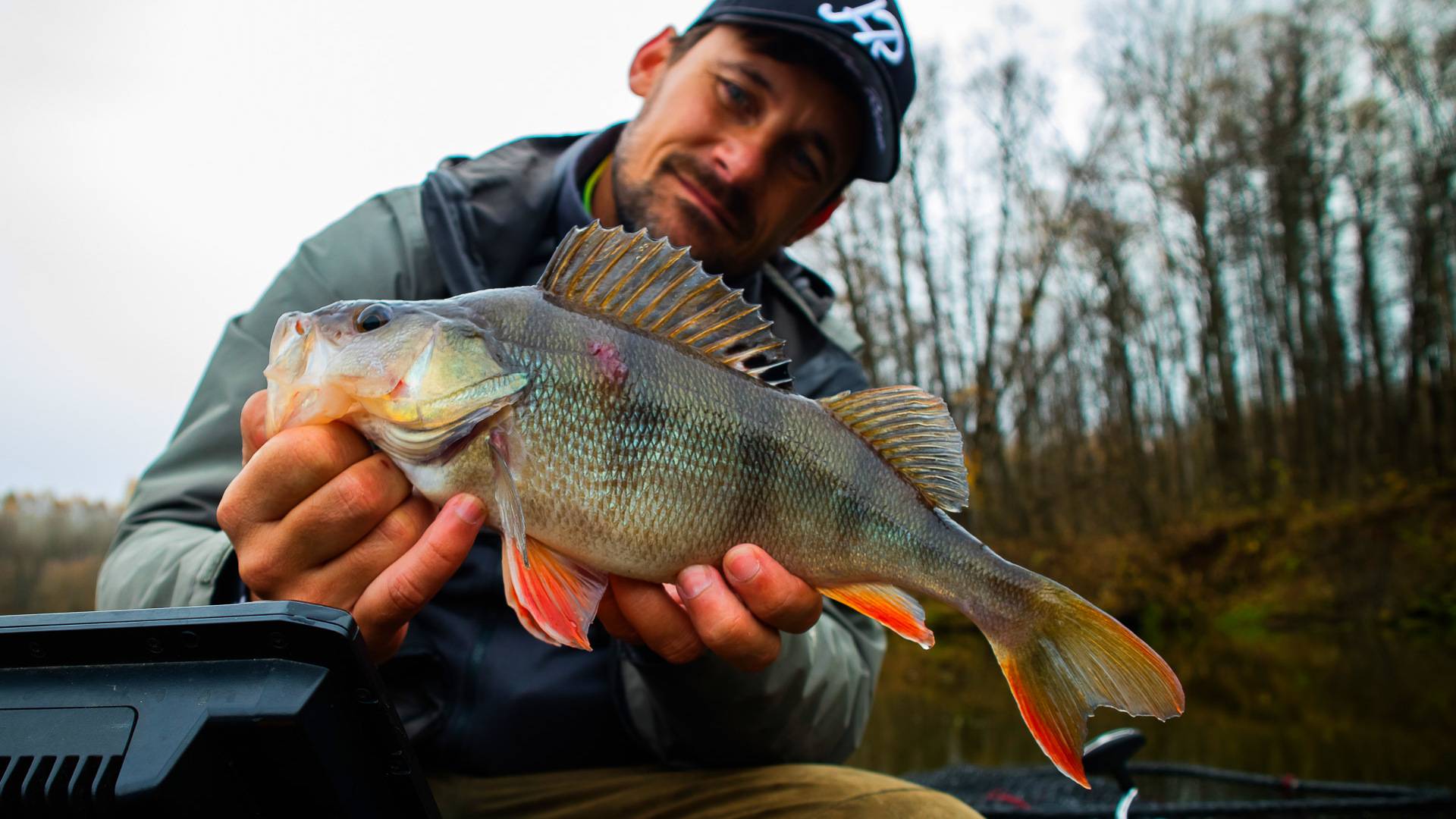 Только в этих местах держится рыба осенью! Как найти осенью хищника и поймать на джиг [Пора ловить]