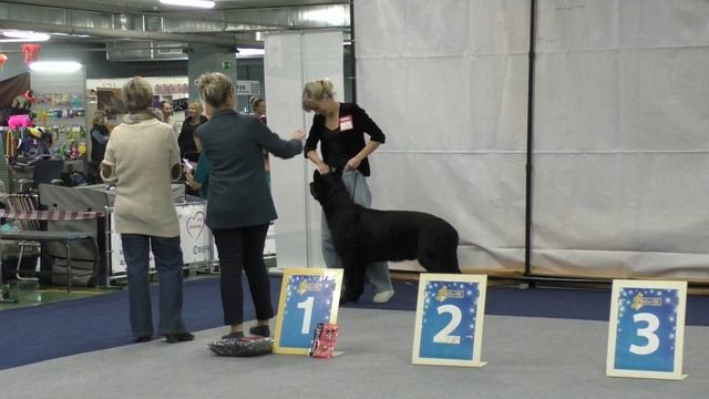 Херберт из Новой Империи