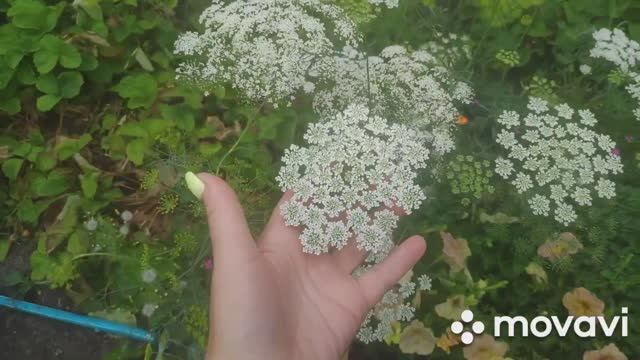 Перекрасила террасу, готовим в афган-казане, поездка на турбазу.