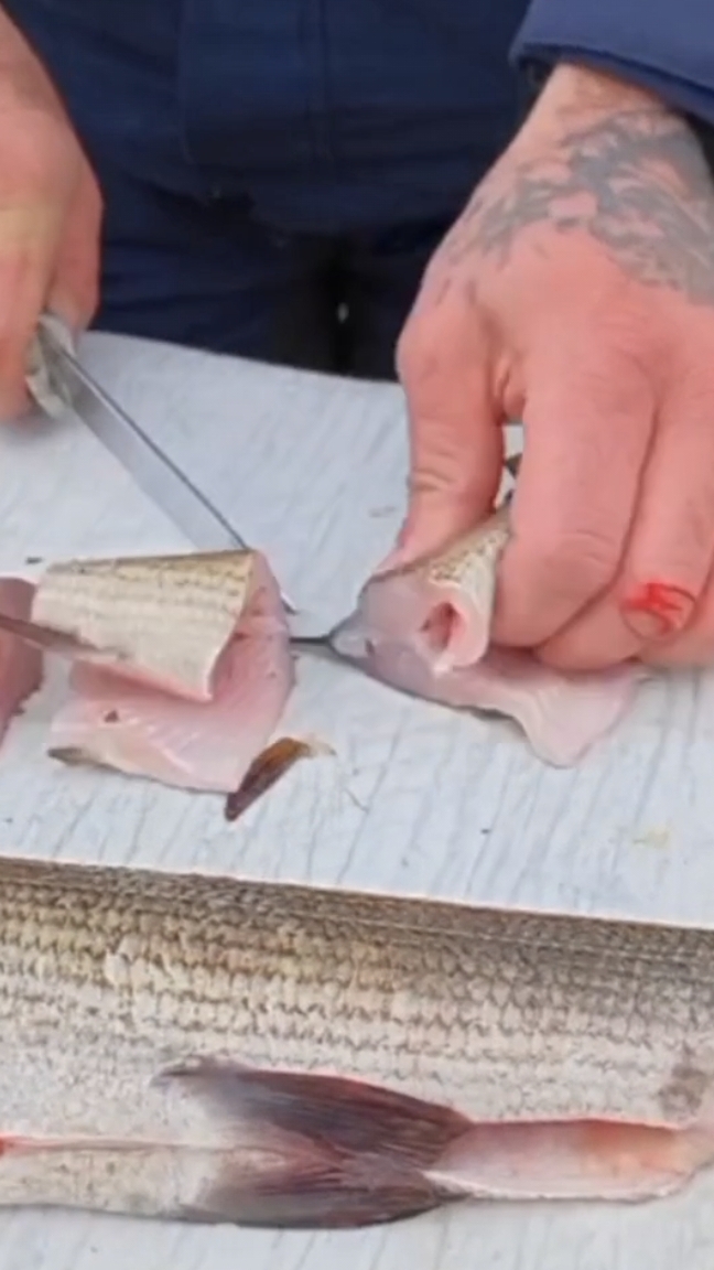 Малосольный хариус!