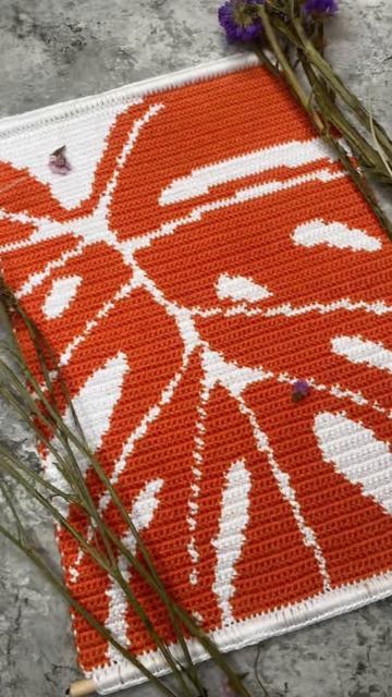 Монстера Оранжевая