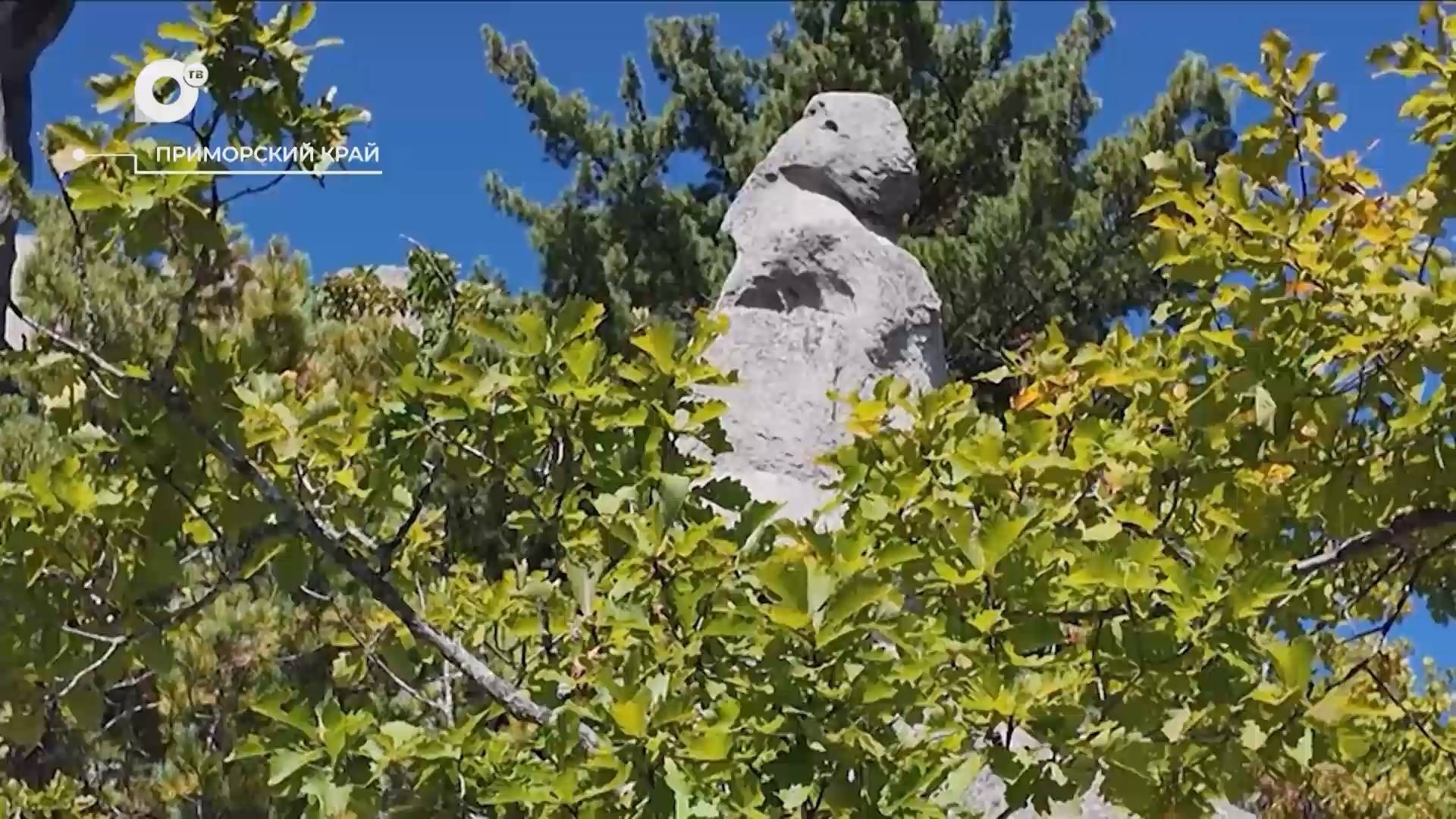 Разведка блогом / 11.11.25